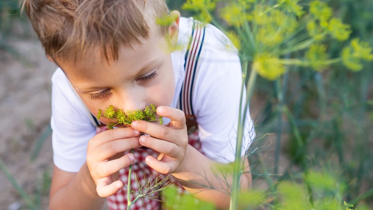 Atelier dell’Olfatto dei Bambini | Corsi di profumeria e cultura olfattiva